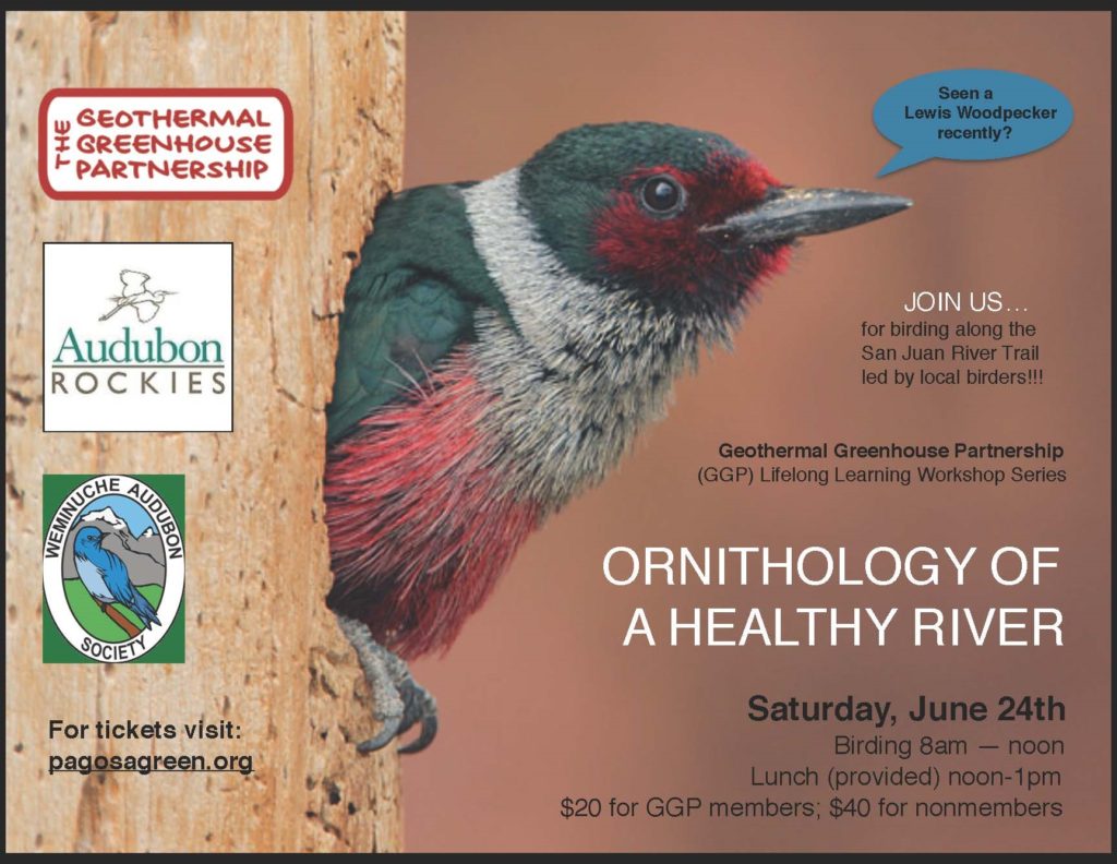 Ornithology Workshop – Geothermal Greenhouse Partnership